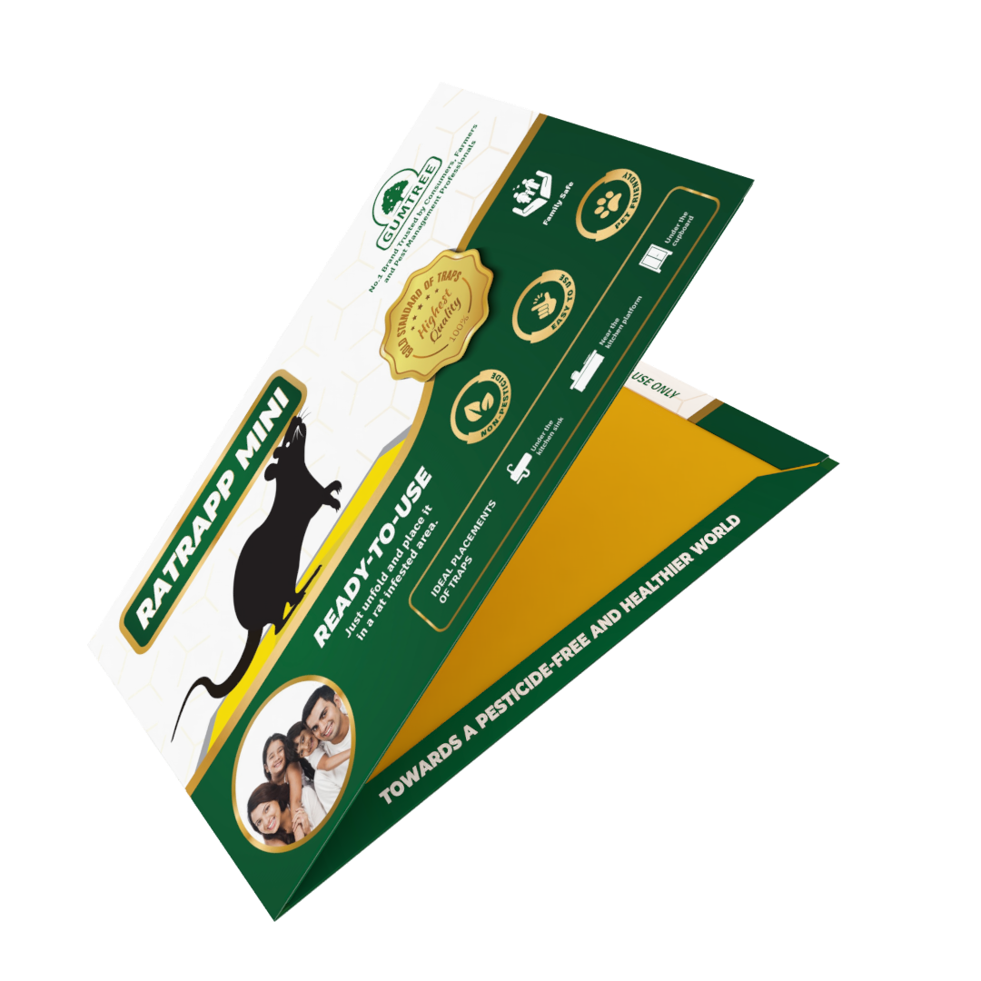 Gumtree Ratrapp Mini (Rat Glue Trap – Small) | Gumtree Traps